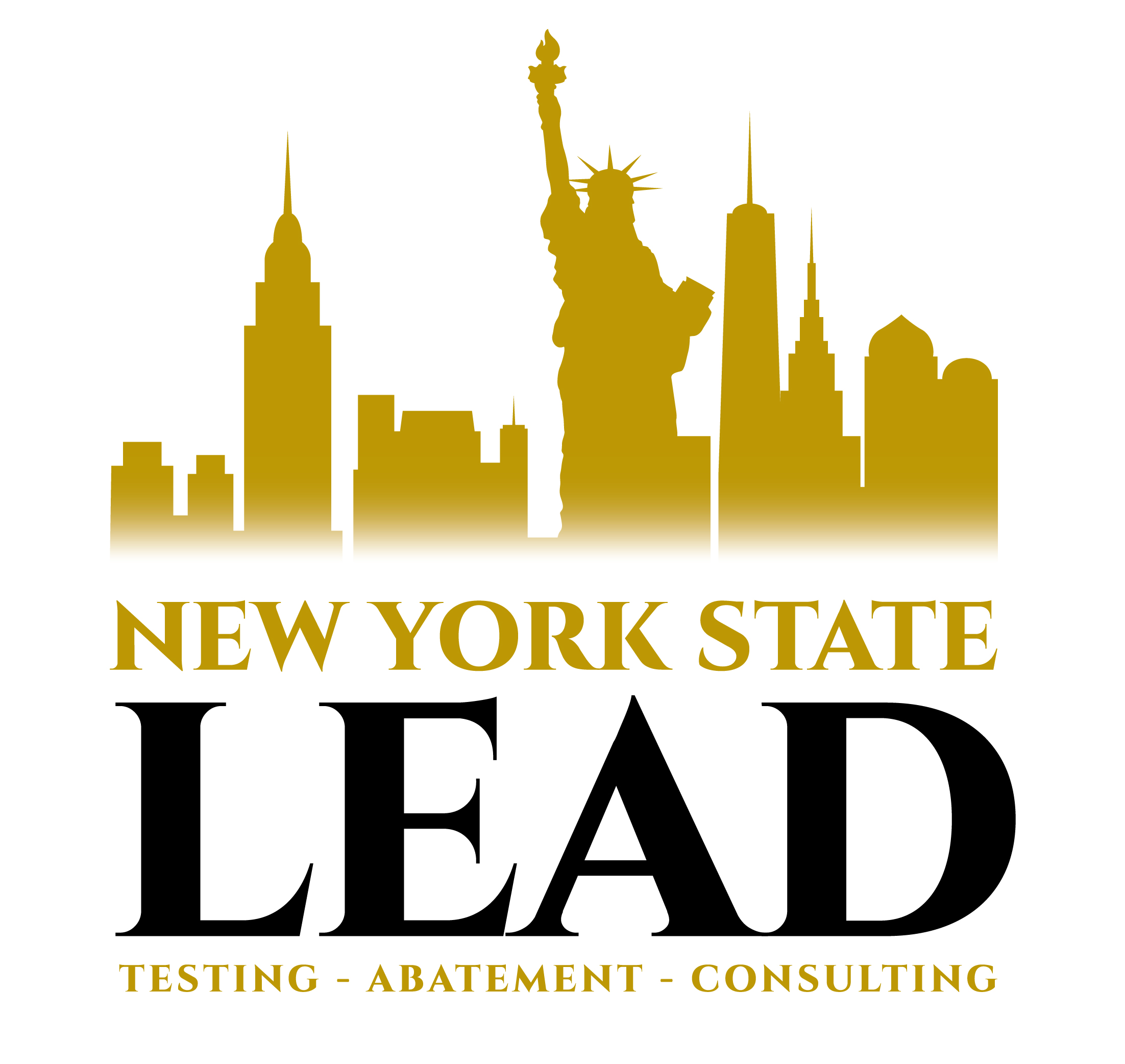 About - New York State Lead